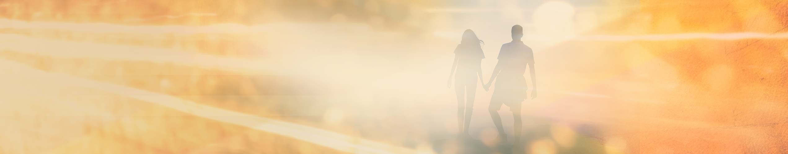 Produktübersicht - Photo Vision, Video Vision, Stages und mehr | AquaSoft