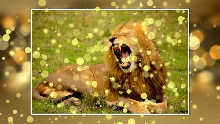 AquaSoft Video Vision - create stunning presentations from videos ...